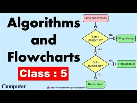 Algorithms And Flowcharts Class 5 Computer CBSE CAIE ICT