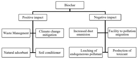 Environmental Impact Of Biochar Download Scientific Diagram