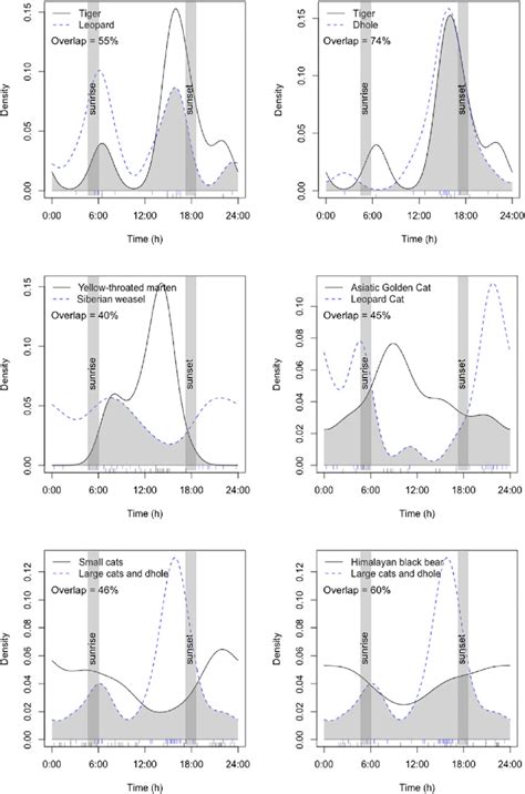 Temporal Overlap Between Species And Species Groupings From Camera Trap