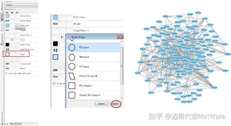 相关性网络图 手把手教你绘制转录组 代谢组高频图 知乎