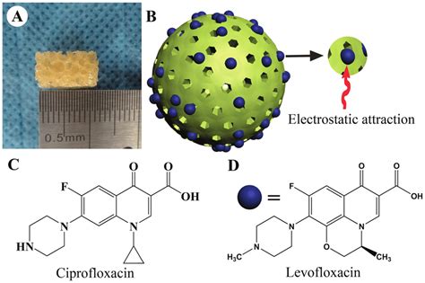 Structural And Morphological Characterization Of The Novel Synthetic