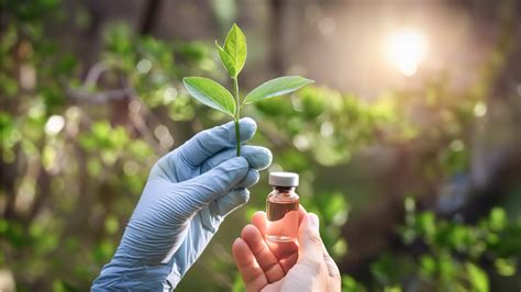 인간과 자연의 관계 재정립 생물다양성을 위한 노력