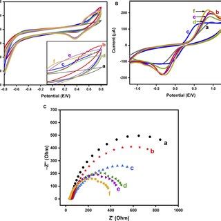 Sem Images Of Go Cc A Sf Cc B And C Cc C At K A And C And Download Scientific