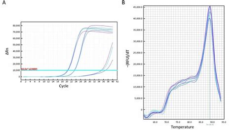 Figure S2 Amplification Curve And Melting Curve Of Chromatin Download Scientific Diagram