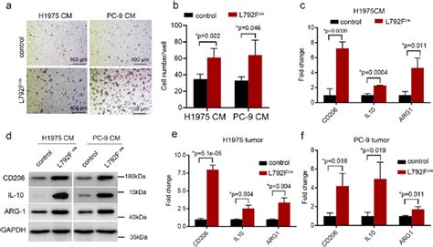 Egfr 19del T790m L792f Drove The Infiltration Of M2 Like Macrophages Download Scientific