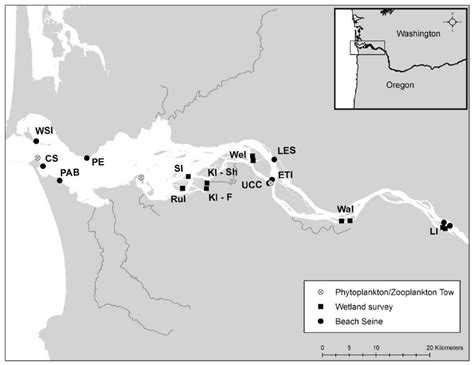 Sampling Locations For The Tidal Gradient Beach Seining Wetland