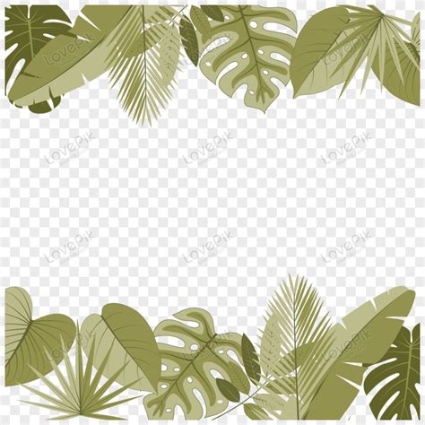 흰색 배경에 열대 잎 Png 일러스트 무료 다운로드 Lovepik