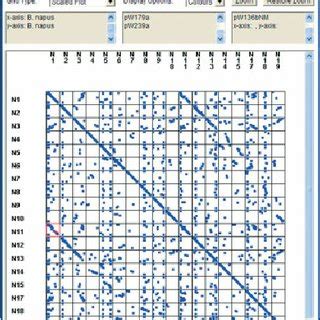 A GridMap Display Illustrating The Internal Genome Structure Of B Download Scientific