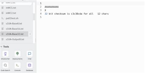 How Is The Professor Getting The Outputs Checksum