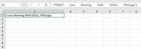 Excel Trim Function The Ultimate Guide