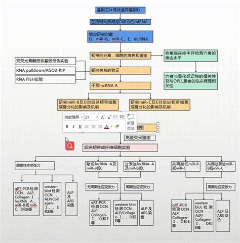 全部可编辑 个技术路线图和 页流程图关系图组织图非常实用的PPT模板 知乎