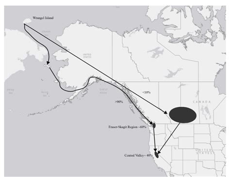 Geese Migration Patterns
