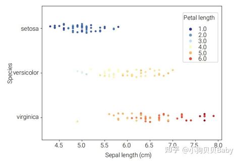 Python可视化可视之美 Seaborn 一元特征数据可视化 知乎
