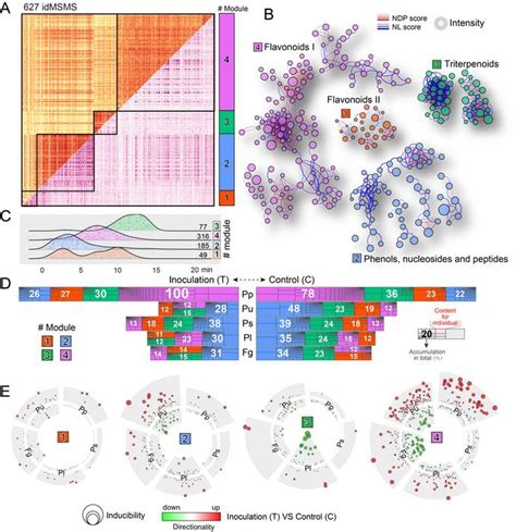 Decoding The Biochemical Dialogue Metabolomi Eurekalert