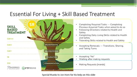 Practical Functional Assessment Skill Based Treatment And Essential
