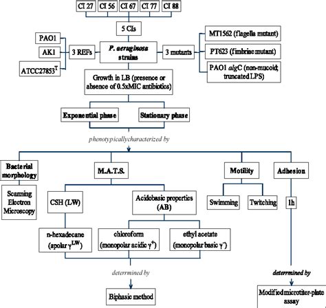 Concept Mapping Connecting Educators Proc Of The Third Int