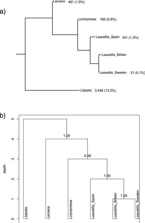 Clustering Of Littorina Species And Populations Based On Acgh Data A Download Scientific