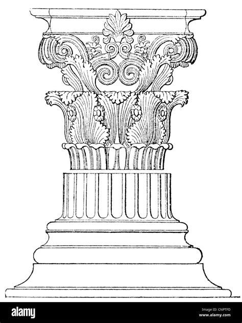 Corinthian Column Drawing