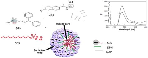 Luminescence Vol 36 No 3