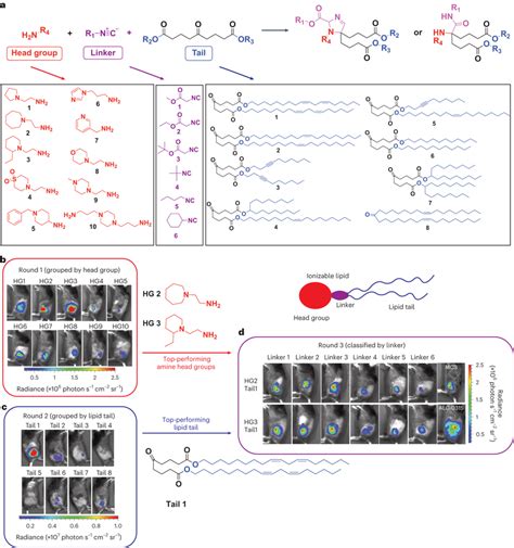 High Throughput Synthesis And Screening Of Biodegradable Cyclic Download Scientific Diagram