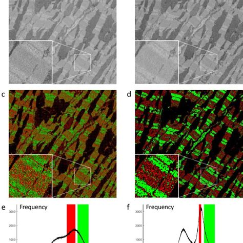 A 3d Roi From A Fib Sem Dataset Acquired At Isotropic 5 Nm Resolution Download Scientific
