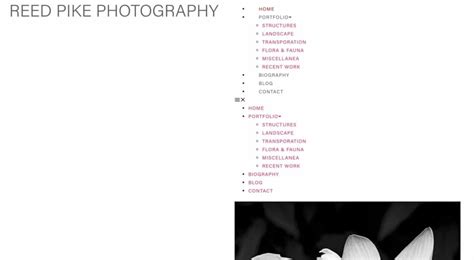 Elementor Nav Menu Broken 6 Ways To Identify And Troubleshoot