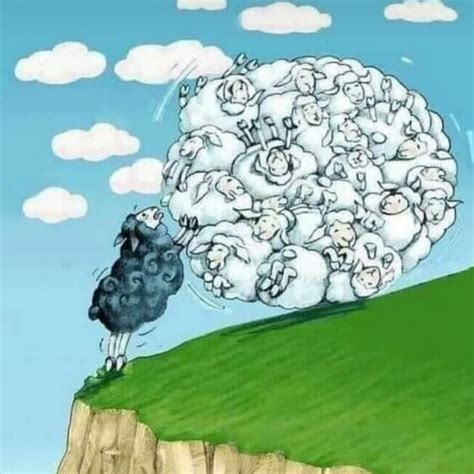 Cloudbuster Argentina Youtube