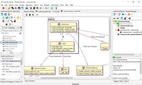 Casetalk Development With Fcoim And Uml