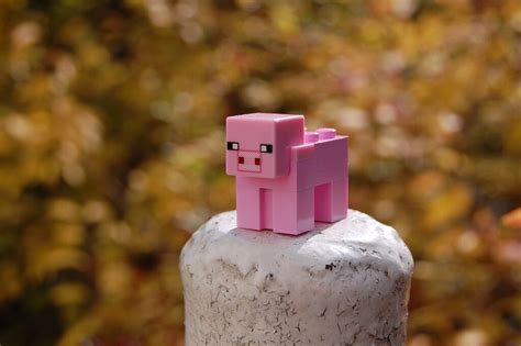 Raspberry Pi über das Lan Kabel mit Strom versorgen Power over