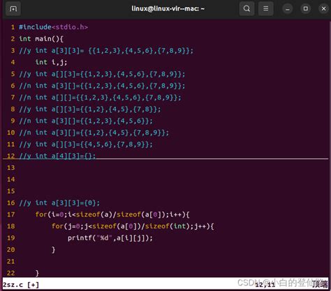 二维数组的初始化规则为什么二维数组碰到零不输出 Csdn博客