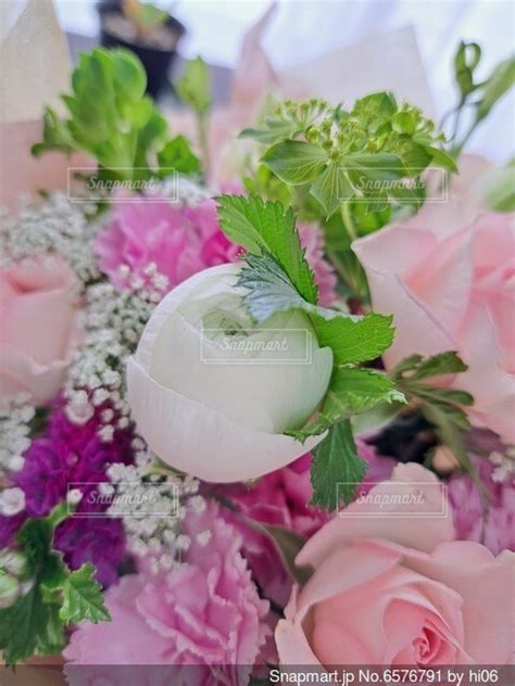 ピンクの花束の写真・画像素材[6576791] Snapmart（スナップマート）