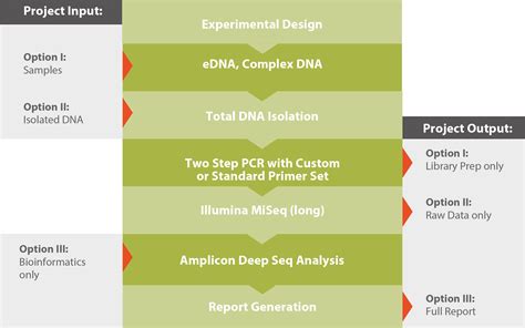Amplicon Deep Sequencing Microsynth Ch