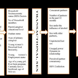 Motivations For Cross Generational And Transactional Sex Download Scientific Diagram