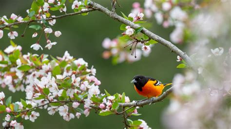 Insectmk的个人空间