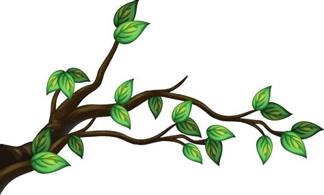 Tree Branch Isolated On White Background 13651169 Vector Art At Vecteezy