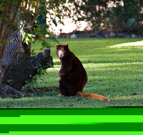 Lae International Hotel Lae Papua New Guinea