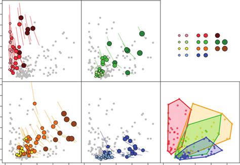 Root Modulus Of Elasticity E R As A Function Of Root Diameter And