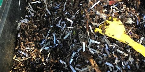 Free Virtual Worm Composting Workshop Free Virtual Worm Composting Workshop