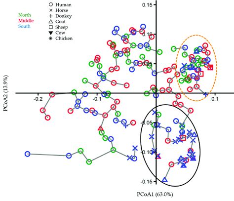 Principle Coordinates Analysis Plot Principal Coordinate 1 Vs Download Scientific Diagram