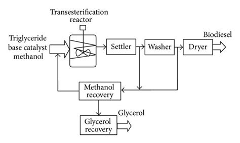 Biodiesel Production By Transesterification Download Scientific Diagram