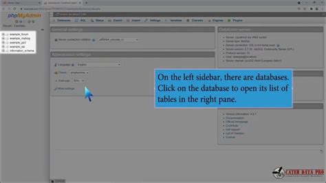 How To Delete Database Table Via Phpmyadmin In Cpanel With Cater Data Pro Youtube