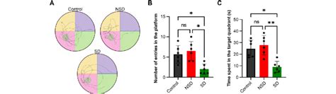 mwm test of mice in three groups n 6 a swimming trajectories b
