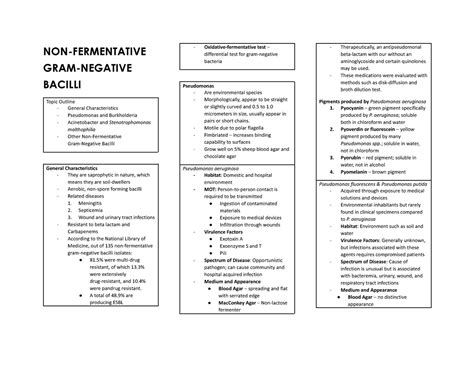 Gram Negative Non Fermentative Bacilli Non Fermentative Gram Negative Gram Negative Non Fermentative Bacilli Non Fermentative Gram Negative