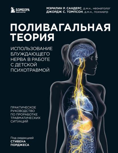 Поливагальная теория. Использование блуждающего нерва в работе с ...