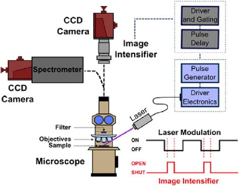 A Schematic Image Of The Micro Spectroscopy Setup With Time Resolved Download Scientific