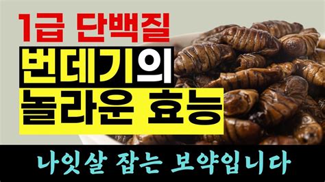입이 쩍 벌이지는 번데기의 놀라운 효능 7가지와 부작용 이렇게 드세요 나잇살 잡는 보약입니다 Youtube