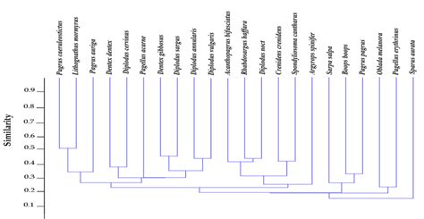 Dendrogram Based On Issr Markers Representing Relationships Among 22