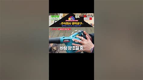 4만원대 휴대용 충전 송풍기 4종 더 강하게 불어내고 흡입한다 낙엽청소 제설 먼지 청소 만능 블로워 보쉬 밀워키 디월트 마끼다 무선송풍기브로워송풍기추천