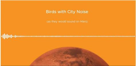 Hacemos Periodismo Infobae