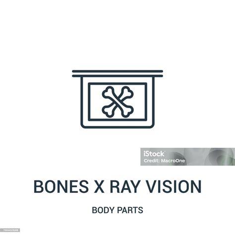 뼈 X 레이 비전 아이콘 본문 부분 컬렉션에서 벡터입니다 얇은 라인 뼈 X 레이 비전 개요 아이콘 벡터 일러스트 레이 션 건강관리와 의술에 대한 스톡 벡터 아트 및 기타